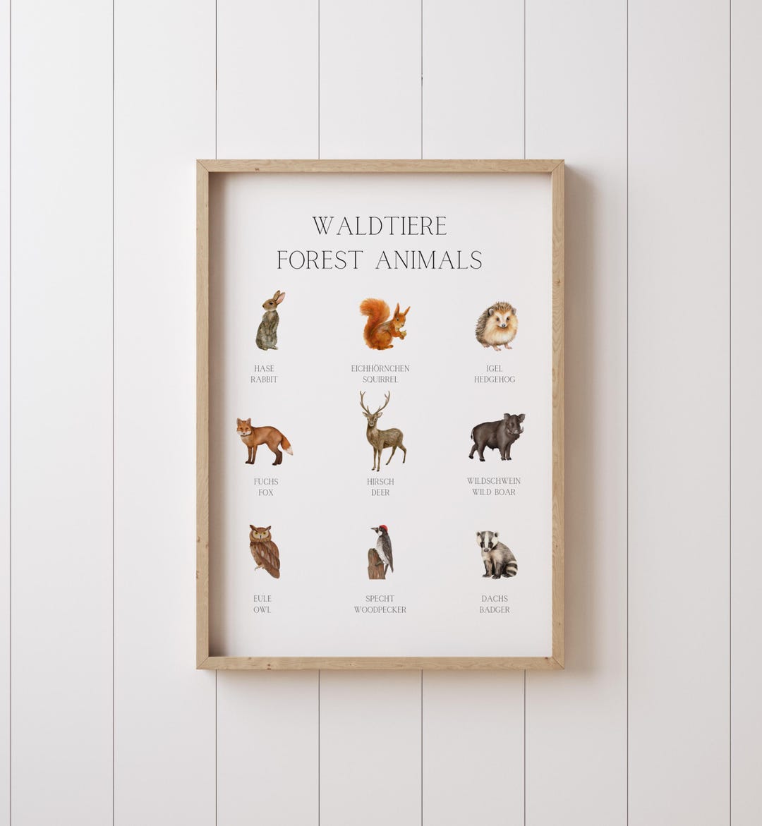 FOREST ANIMALS, Bilingual Poster PDF Download, German and English, A4 ...