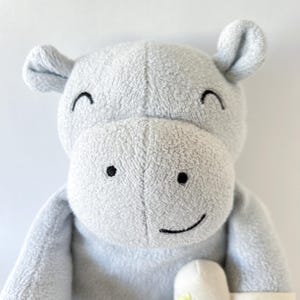 Organic Stuffed Animal Hippo Toy With Asthma Inhaler & Book Gift Set - Etsy