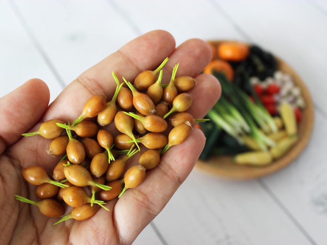 Miniature Onion 1:12 Miniature Vegetables Miniature Farmer Realistic ...