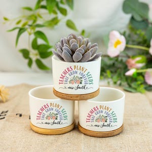 Thank You Teacher Plant Pot Gifts,teacher Appreciation Gifts,teachers ...