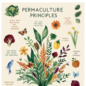 Permaculture Principles Poster - Etsy