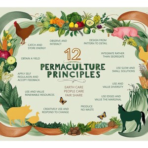Permaculture Principles Poster - Etsy