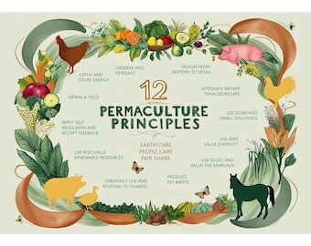Permaculture Principles Poster - Etsy