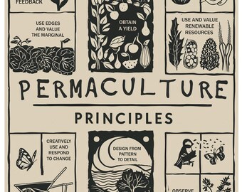 Permaculture Principles Poster - Etsy