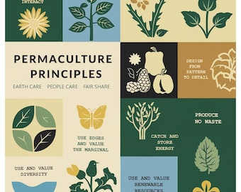 Permaculture Principles Poster - Etsy