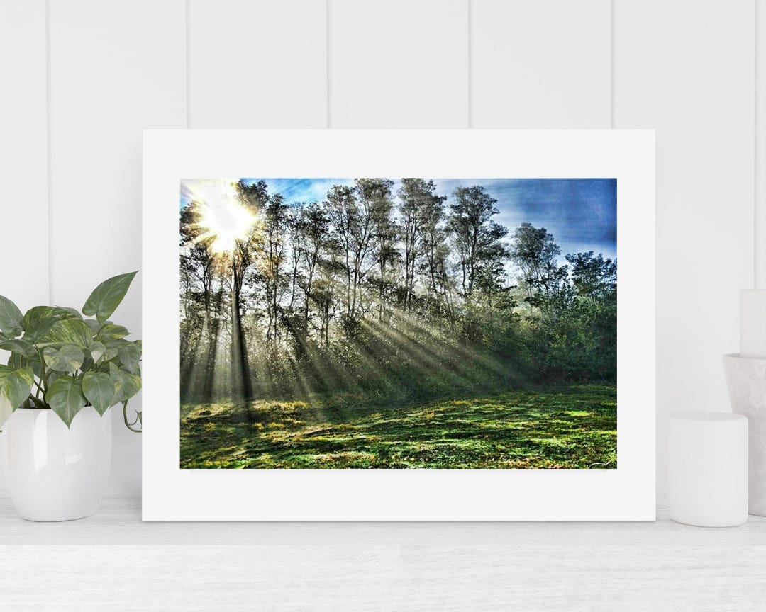 Forest View Sun Ray Wall Art Landscape Wall Art Large Nature-inspired ...
