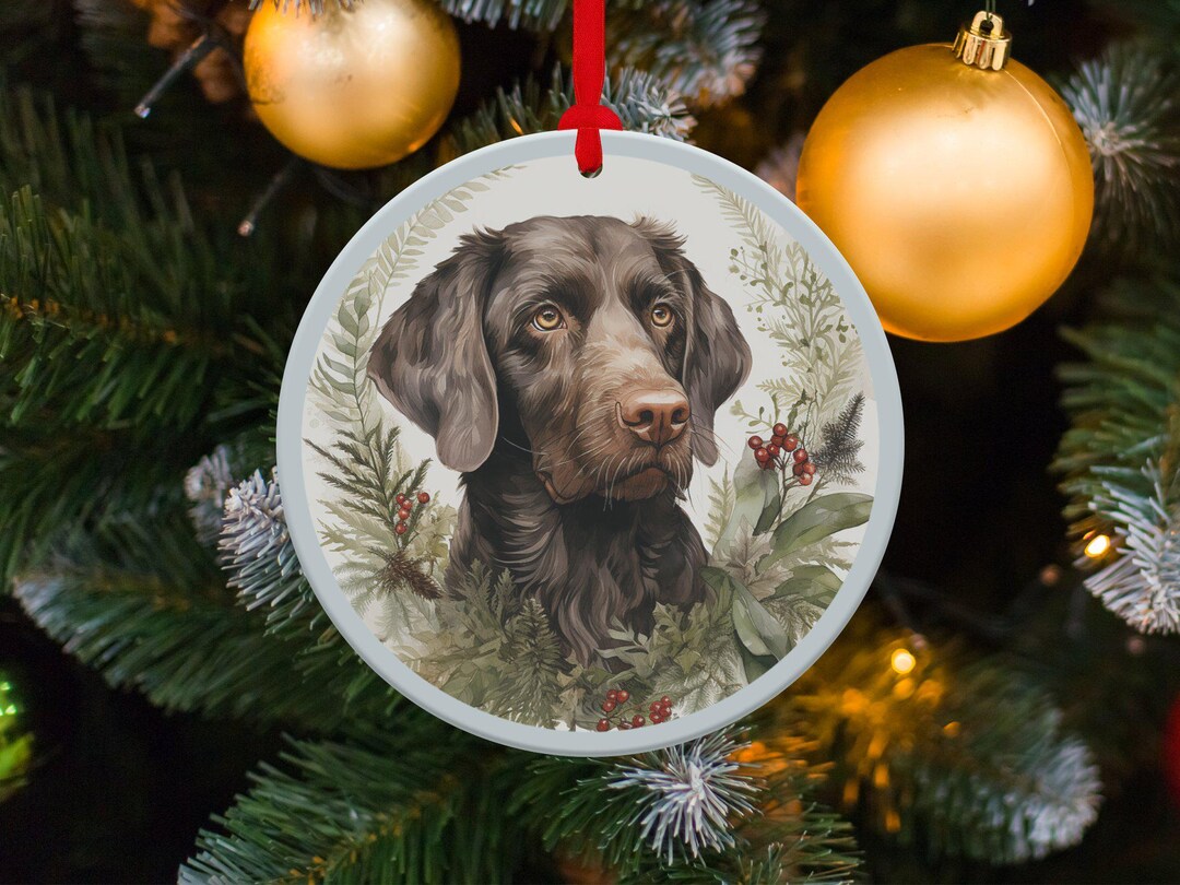 Custom Dog Portrait Ornament Gift, Personalized Pet Art Decoration ...
