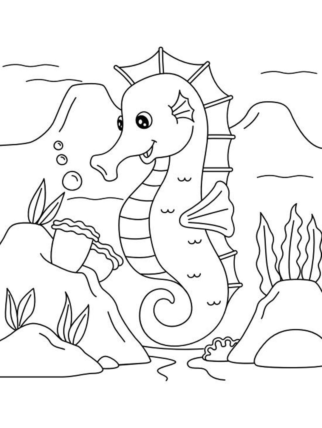 Printable Aquatic Life Coloring Pages- Digital File- Instant Download ...