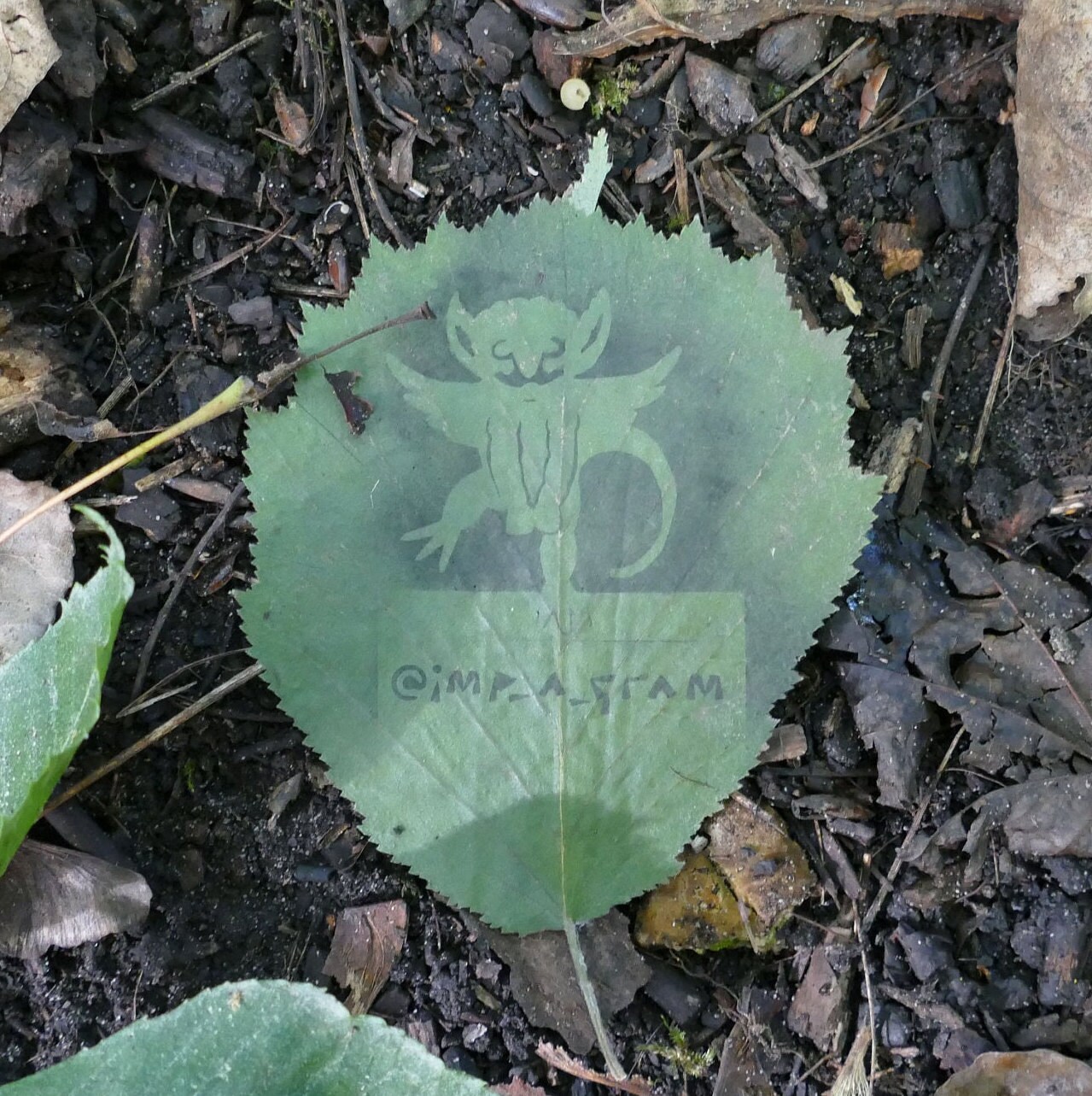 Imp-a-gram... a Dancing Imp Stencilled on a Leaf in Charcoal. as Used ...