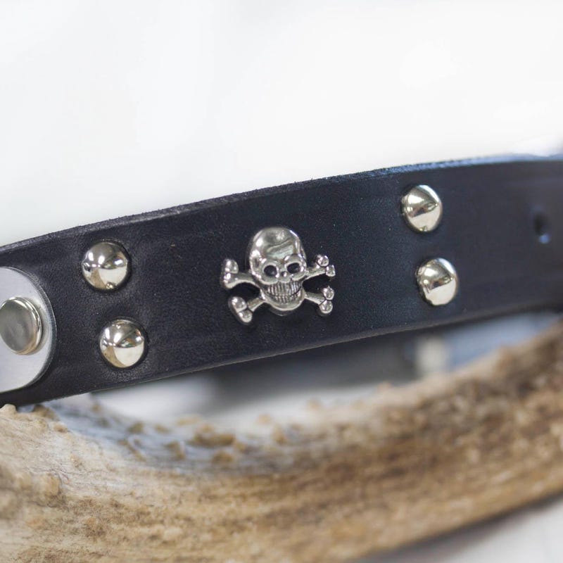 Skull Dog Collar - Etsy