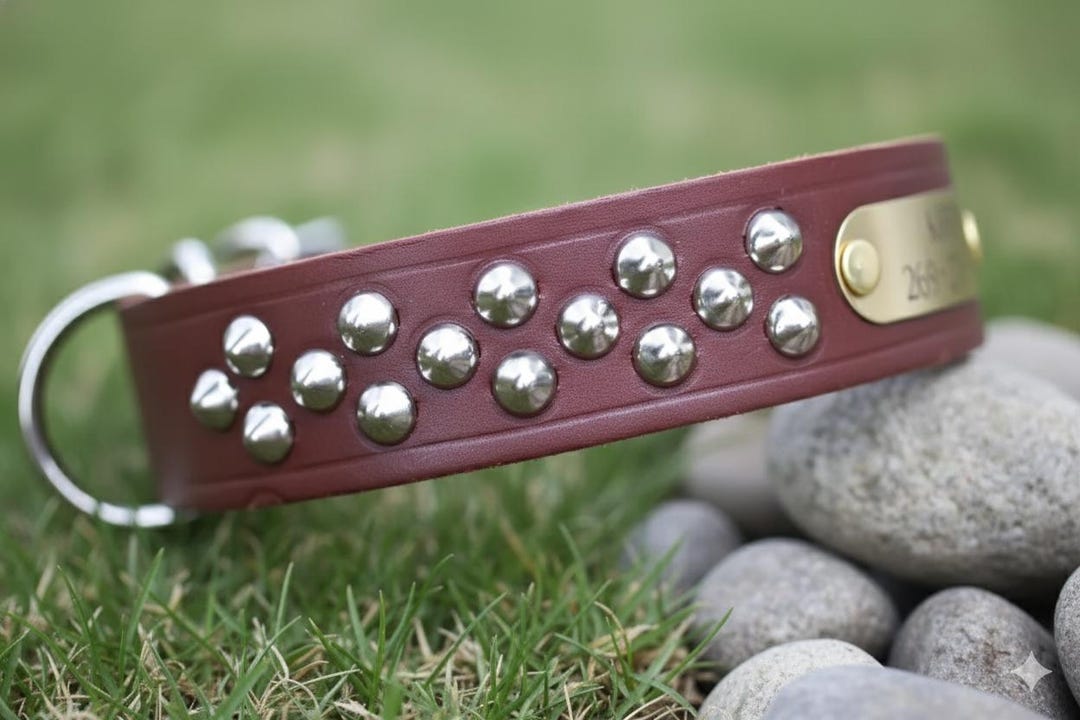 Personalized Studded Leather Dog Collar, Wide Pit Bull Collar - Etsy