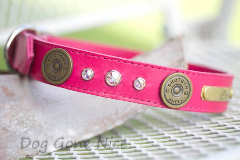 12 Gauge Shotgun Shell Dog Collar With Personalized Name Plate, Hunting ...