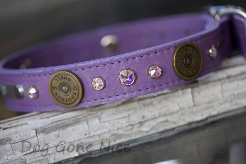 12 Gauge Shotgun Shell Dog Collar With Personalized Name Plate, Hunting ...