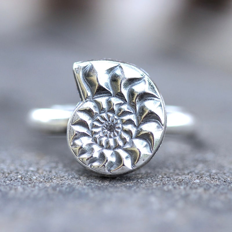 Silver Seashell Ring - Etsy