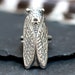 Silver Cicada Ring Sterling Silver Locust Ring Insect Ring Statement ...