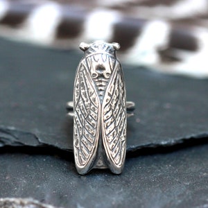 Silver Cicada Ring Sterling Silver Locust Ring Insect Ring Statement ...