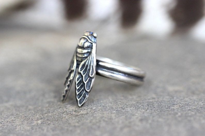 Silver Cicada Ring Sterling Silver Insect Ring Witch Ring Bug - Etsy