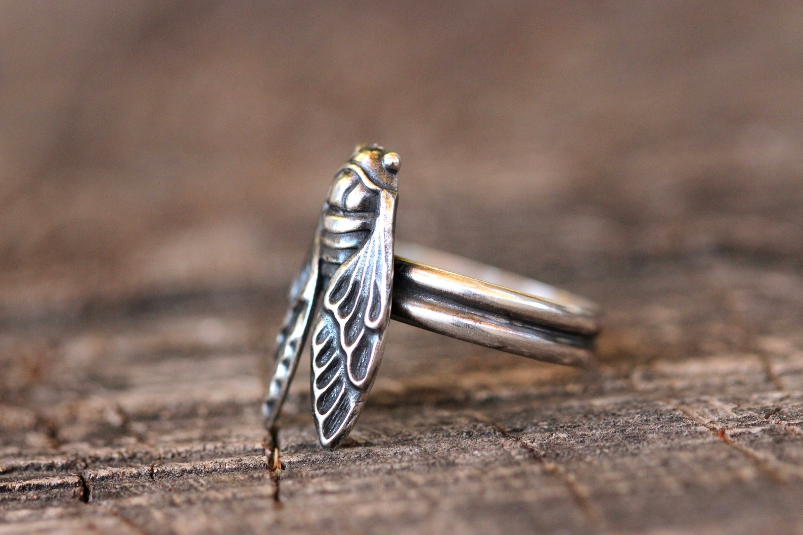Silver Cicada Ring Sterling Silver Insect Ring Witch Ring Bug - Etsy