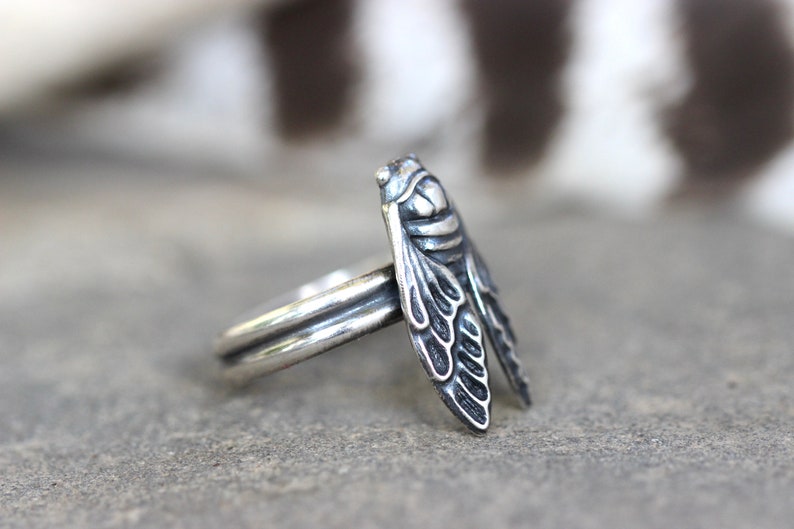 Silver Cicada Ring Sterling Silver Insect Ring Witch Ring Bug - Etsy