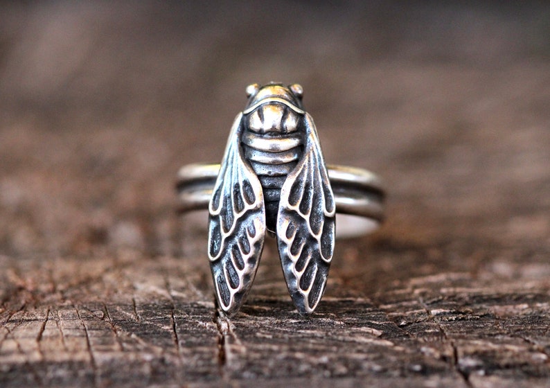 Silver Cicada Ring Sterling Silver Insect Ring Witch Ring Bug - Etsy