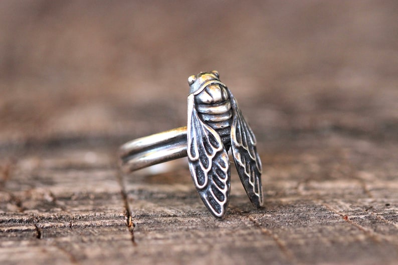 Silver Cicada Ring Sterling Silver Insect Ring Witch Ring Bug - Etsy