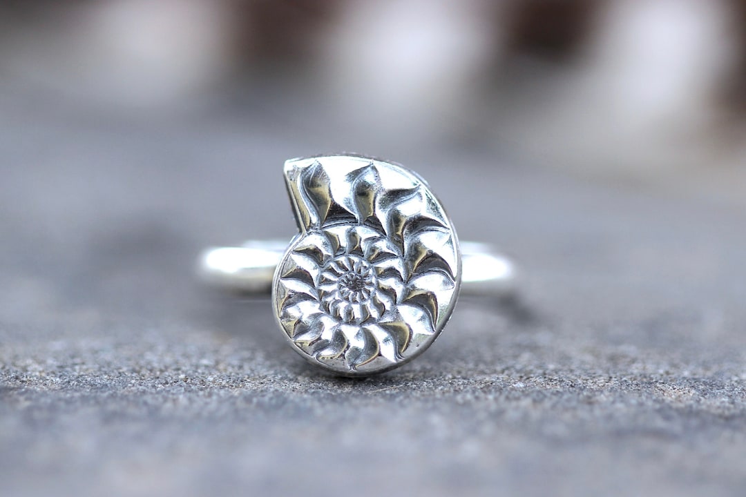 Ammonite Ring Sterling Silver Nautilus Ring Seashell Ring Ammonite ...