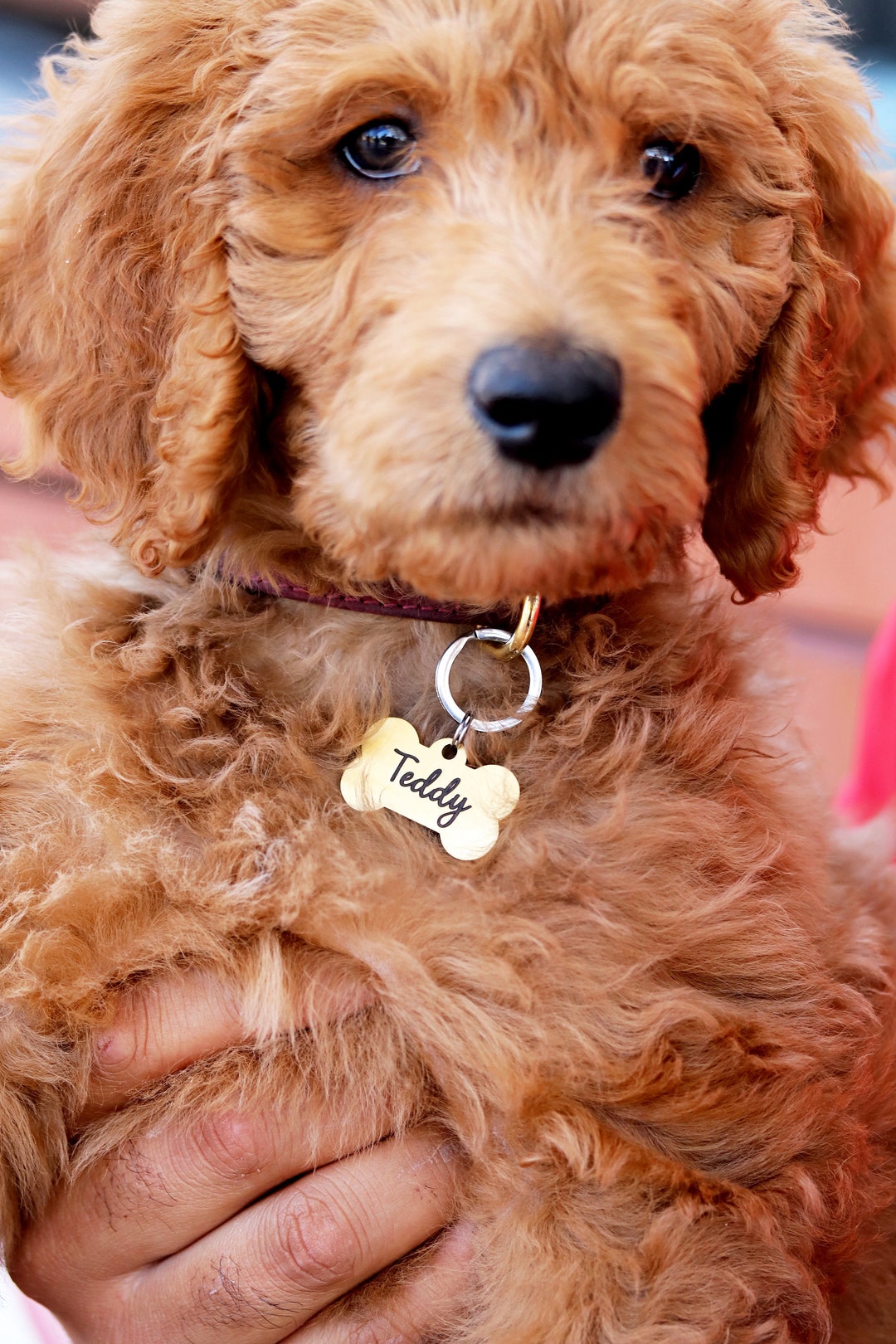 Custom Dog Tag / Cute Pet Tag / Pet ID Tag / Dog ID Tag / Personalized ...