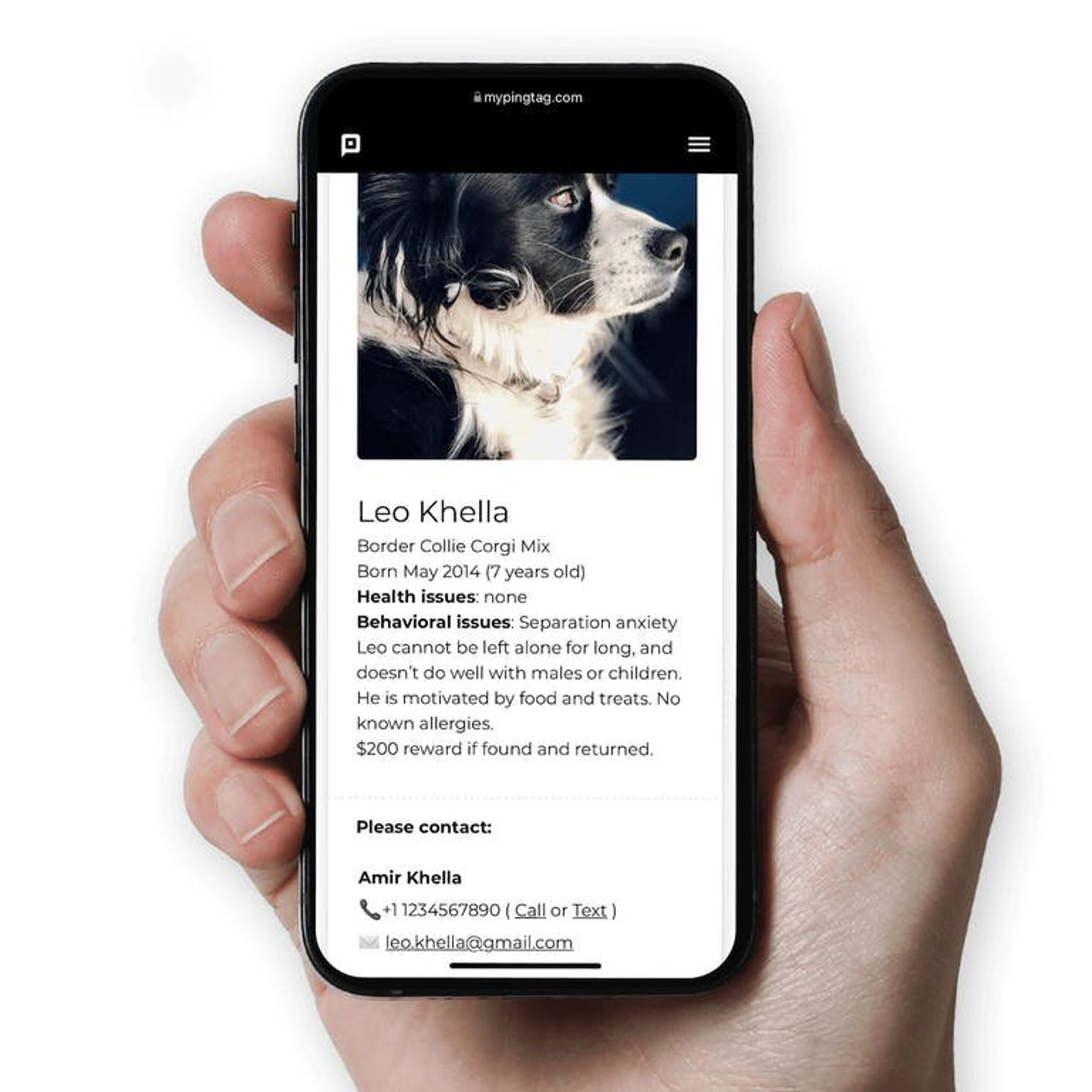 QR Code Pet Tag Scannable Pet Tag Digital ID Tag Custom - Etsy