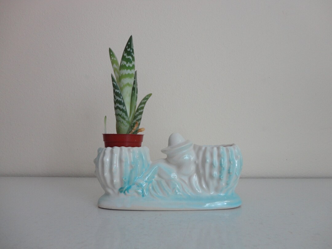 VINTAGE Mid Century Ceramic CACTUS PLANTER - Cactus Sombrero Man ...