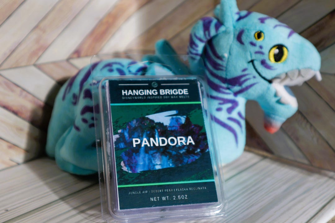 Disney Park Wax Melt | Pandora Wax Melt | Disneyworld Soy Wax Melt ...