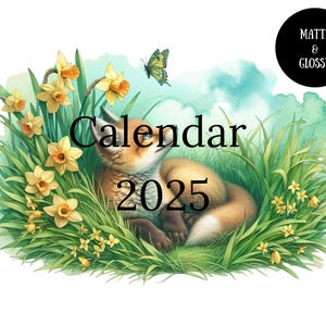 2025 Wall Calendar - the Year of Adorable Animals A Year of Seasonal ...