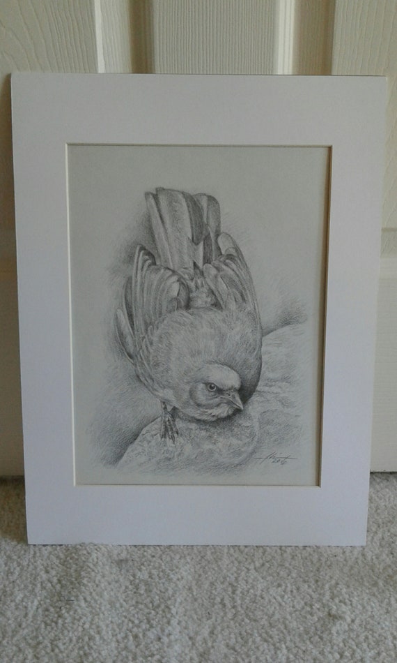 Original Wildlife Art Bird Art Graphite Pencil Drawing | Etsy