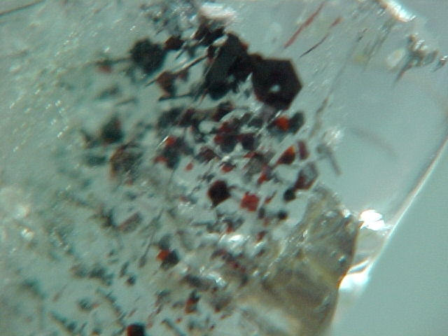 Agape Crystal Sacred Seven Quartz Slice Super Fine Minerals | Etsy