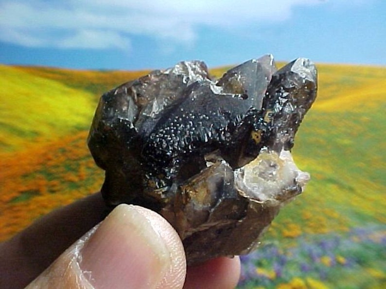 Agape Crystal Elestial Cluster With Hidden Scepter | Etsy