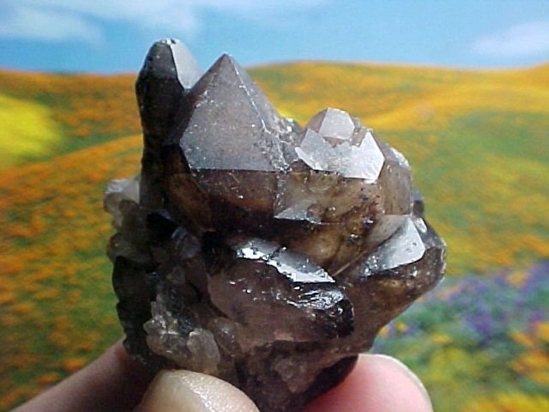 Agape Crystal Elestial Cluster With Hidden Scepter | Etsy