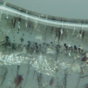 Agape Crystal Sacred Seven Quartz Slice Super Fine Minerals for Wire ...