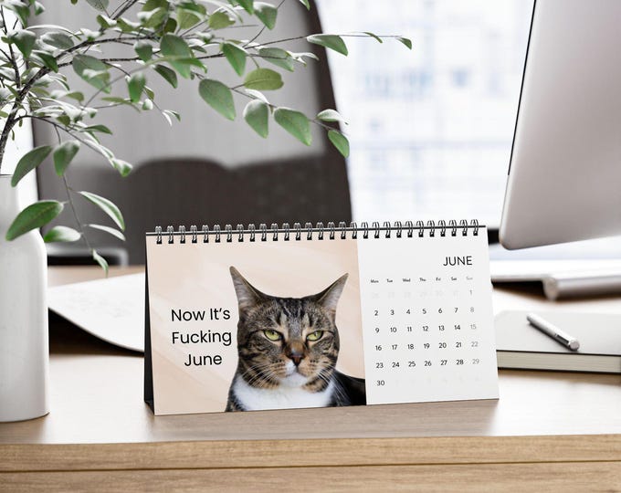 2025 Cat Calendar, Mini Desk Calendar, Month by Month Calendar, Easel ...