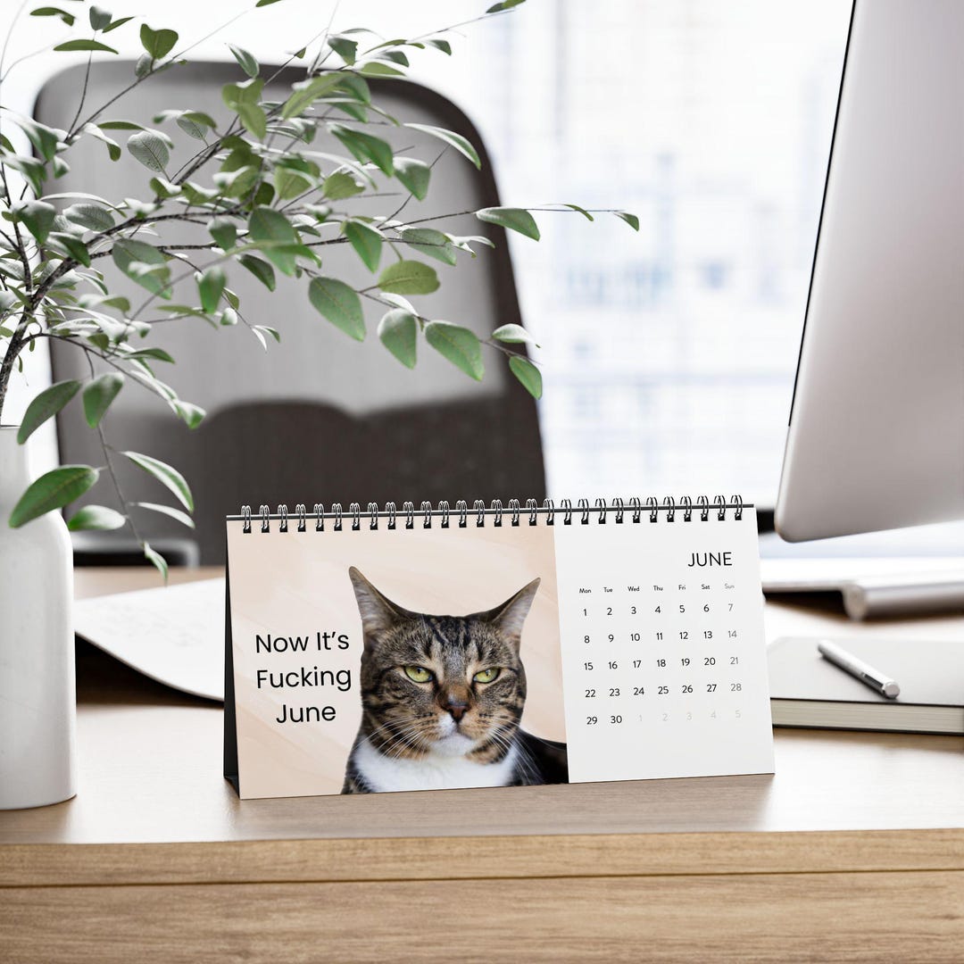 Grumpy F**cking Cat 2026 Desk Calendar,funny Office Gift,cat Lover Gift ...