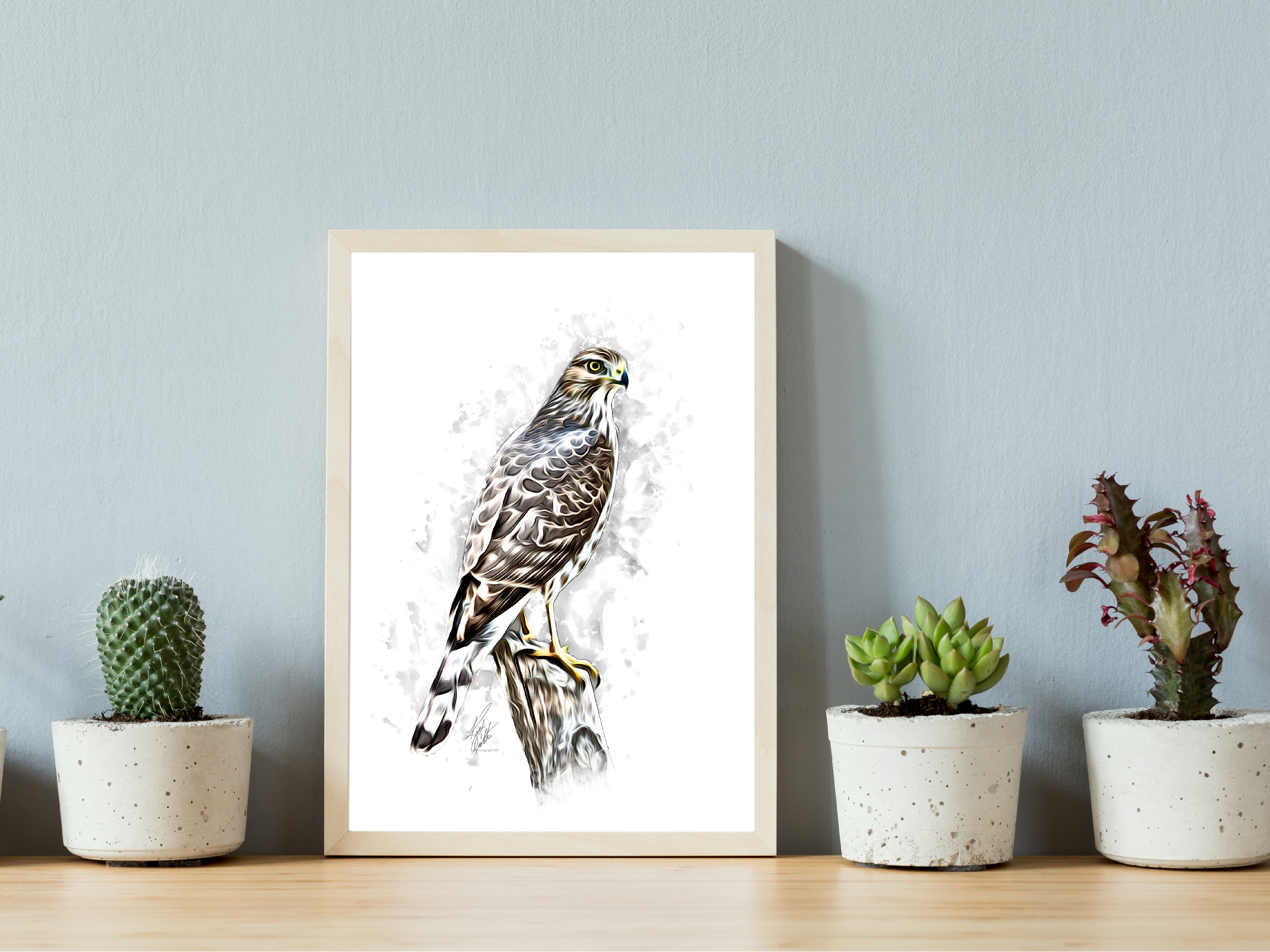 Printable Minimalist Coopers Hawk Digital Illustration - Etsy