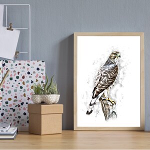 Printable Minimalist Cooper’s Hawk Digital Illustration - Etsy