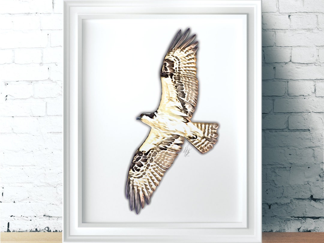 Printable Minimalist Osprey Digital Illustration - Etsy