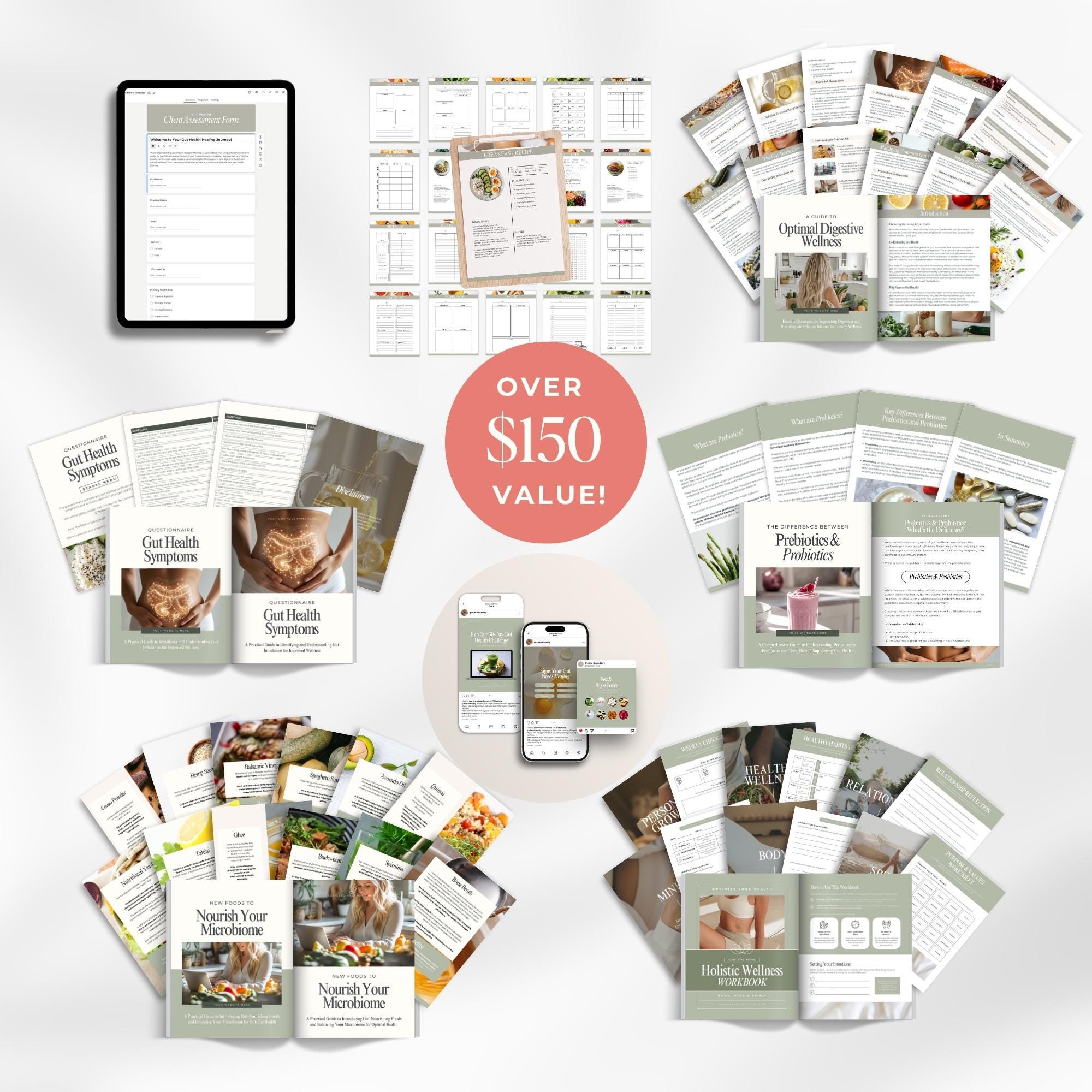 Gut Health Coach Bundle, Gut Health Guide Lead Magnets, Nutrition Coach ...