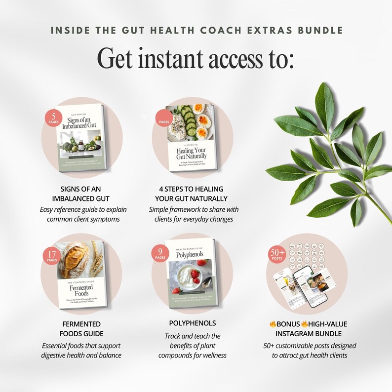 Gut Health Coach Booster Pack | Canva Templates & Client Handouts | Gut ...