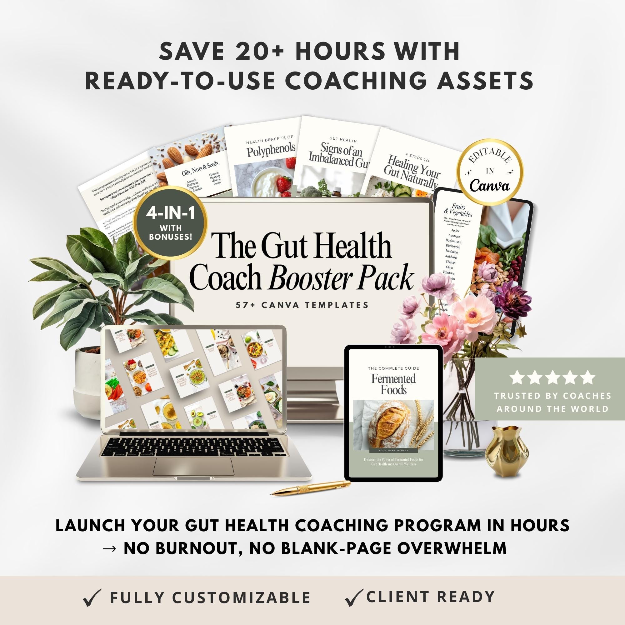 Gut Health Coach Booster Pack | Canva Templates & Client Handouts | Gut ...
