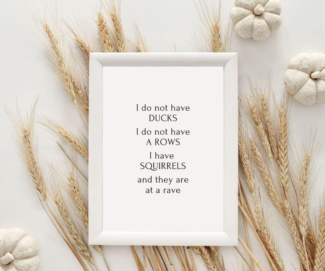 Funny Squirrels Rave Typography Poster: Sarcastic Quote Wall Art ...