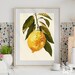 Disco Lemon Art Print, Retro Wall Art Poster, Glam Disco Ball Lemon ...