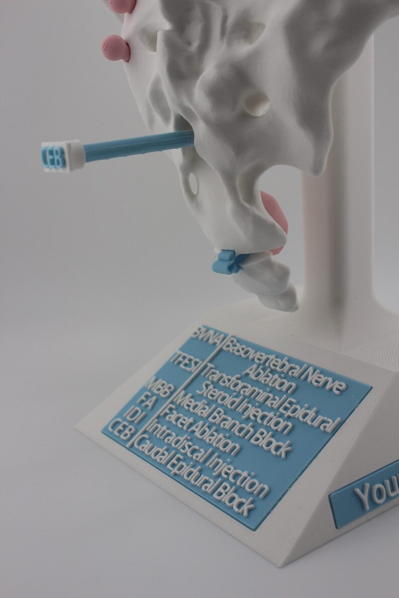 Lumbar/sacrum Model of Pain Management Procedures - Etsy