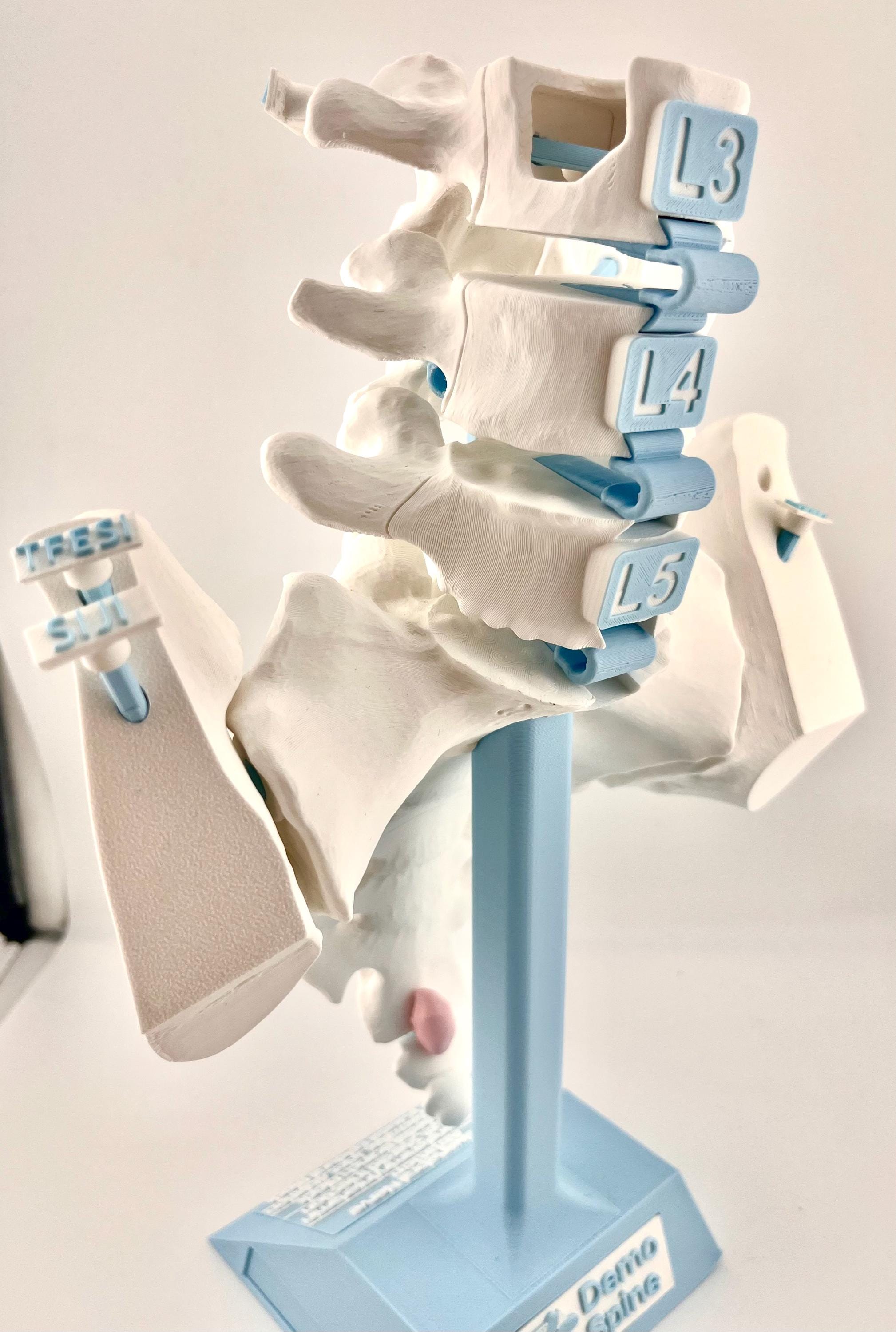 Lumbar/sacrum Model of Pain Management Procedures - Etsy