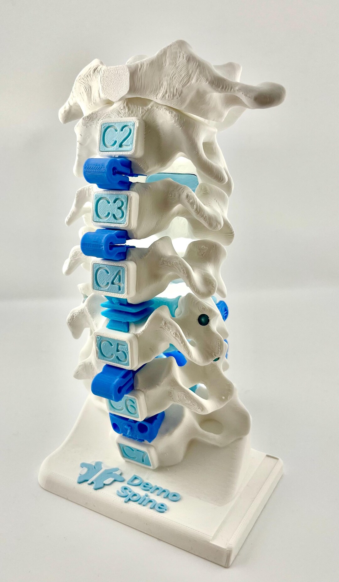 Cervical Spine Surgery Model - Etsy