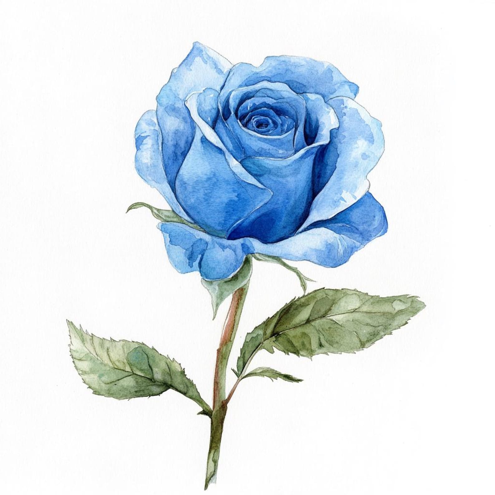 Watercolor Blue Roses Clip Art, PNG Floral Bouquet Rose Clipart ...